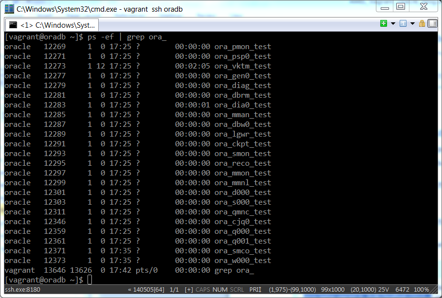 Provisioning An Oracle 11g Database Virtualbox Vm With Vagrant And