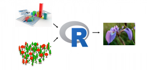 R R and the Oracle database: Using dplyr / dbplyr with ROracle on Windows 10 - AMIS, Data Driven ...