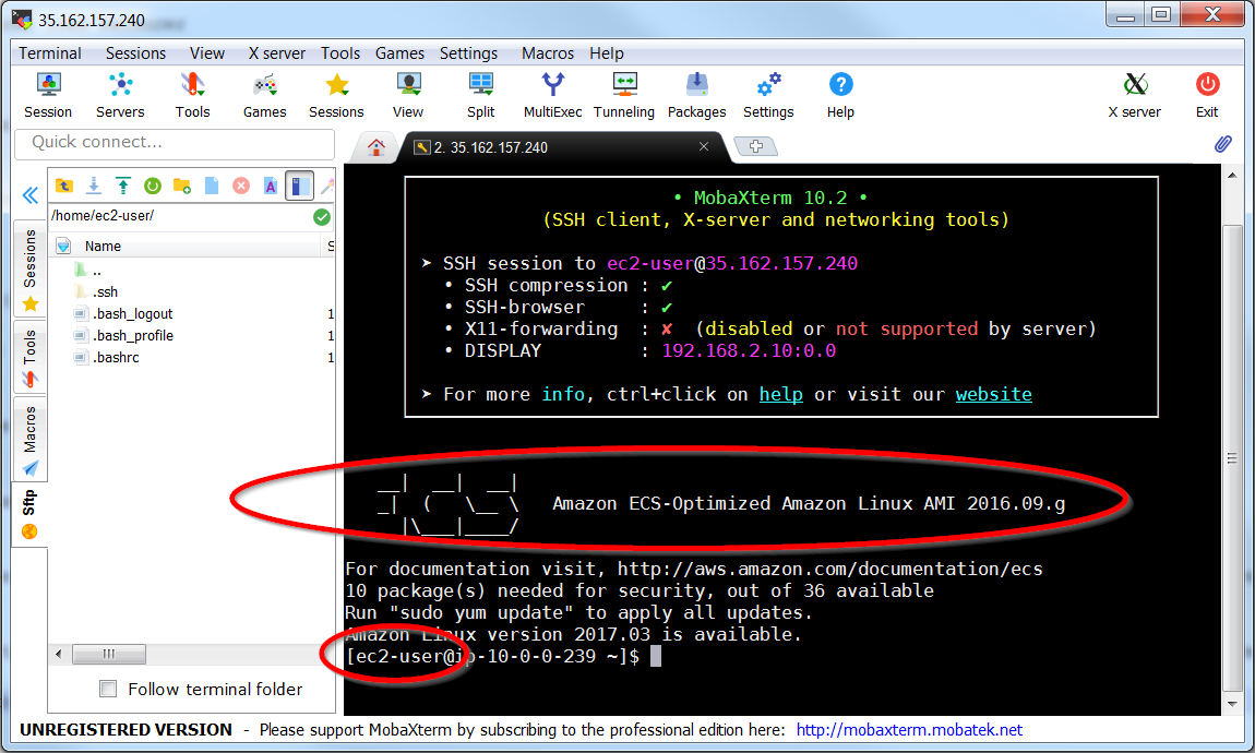 Docker Weblogic Image On Amazon Ec2 Container Service