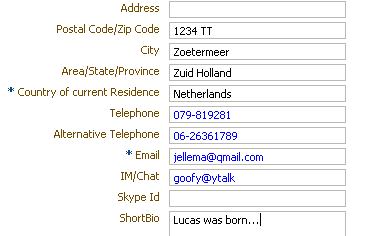 Using ADF Faces 11g Skinning for setting the styles of specific component instances or groups of ...